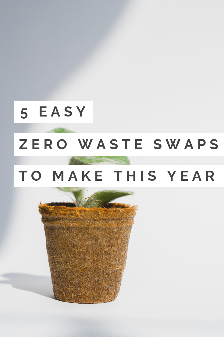The 5 Easiest Eco-Friendly Swaps to Make This Year – less is Meera