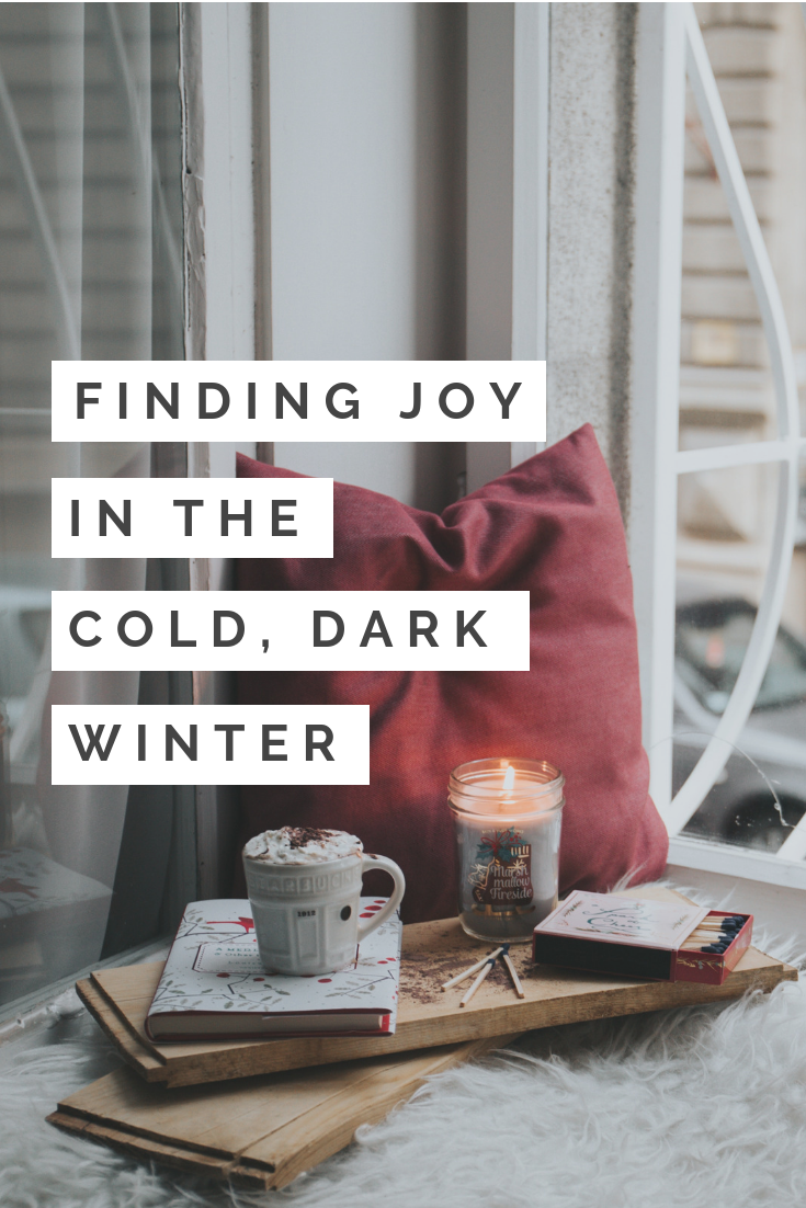 Finding Joy in the Cold, Dark of Winter – less is Meera