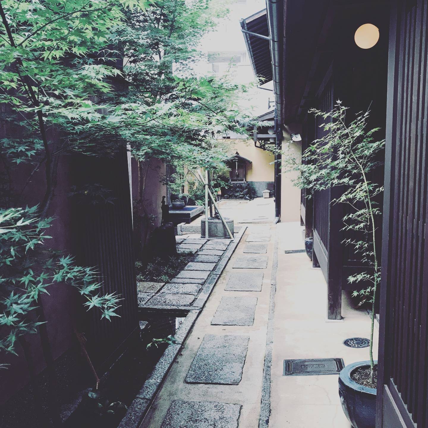 Kyoto (& Nara) Travel Guide – less is Meera